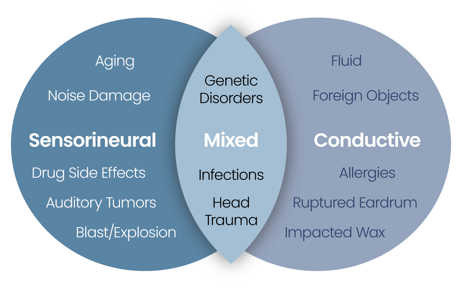 Hearing Loss – Wisconsin Hearing Aid Centers